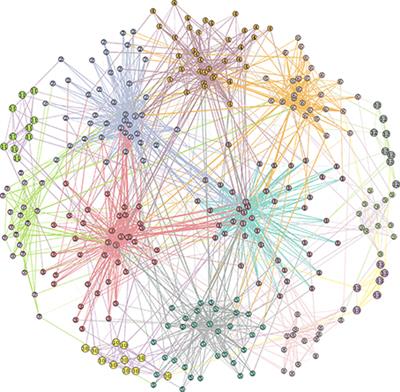 Frontiers | Graph Analysis and Modularity of Brain Functional Connectivity Networks: Searching ...